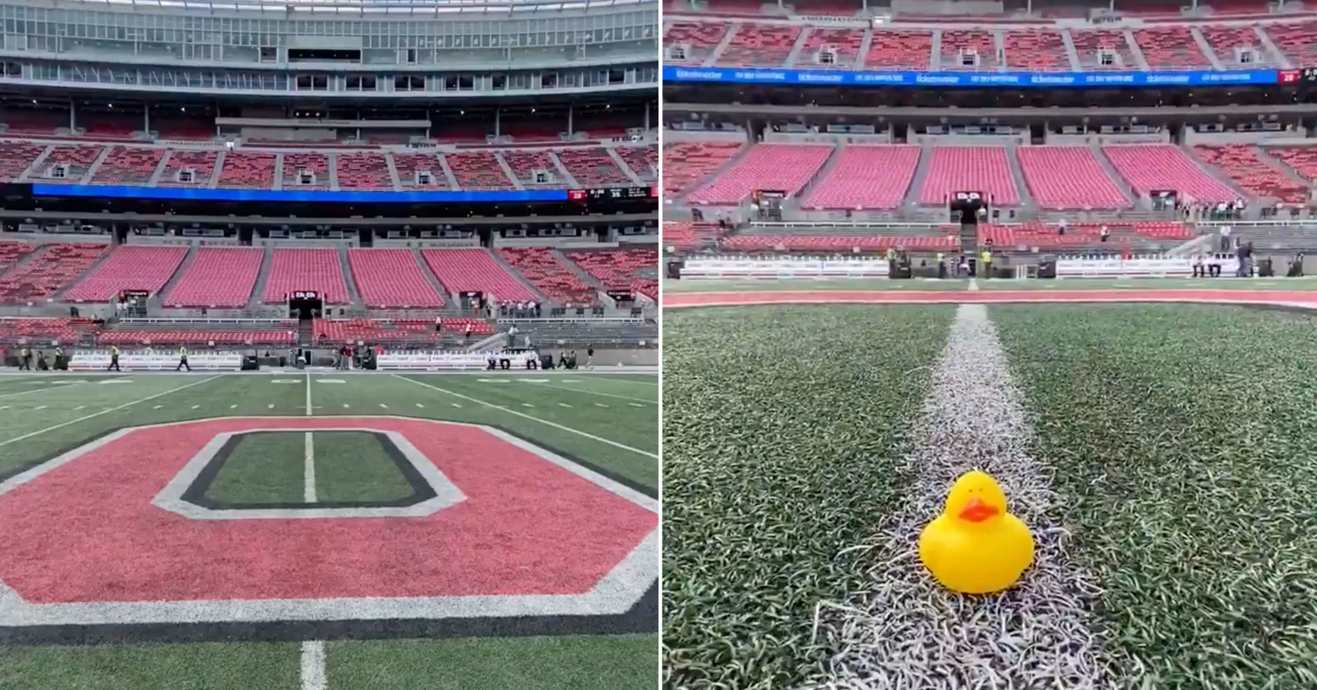 Someone Left A Rubber Ducky In The Middle Of Ohio State's Field After ...