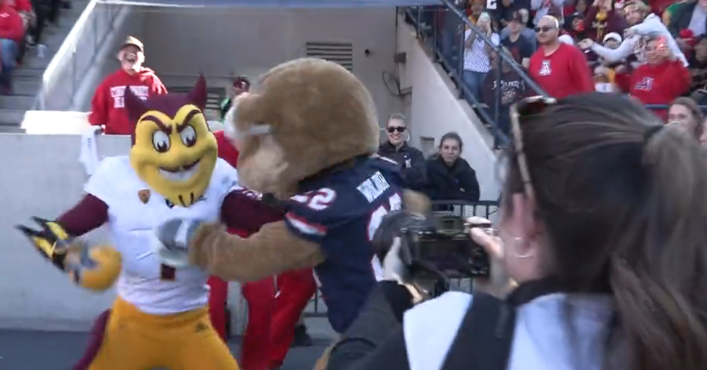 Arizona & Arizona State Mascots Get Into Fist Fight In Full Costume On ...